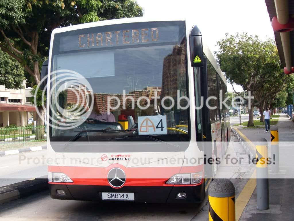 [Photo Of Buses] October 2008