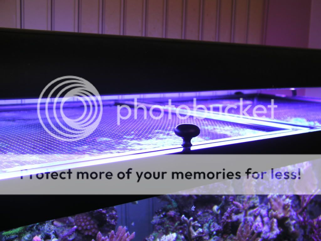 diy screen covers | Reef2Reef