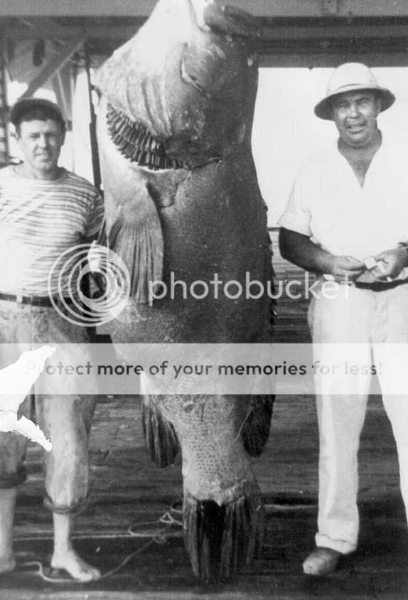 Pick your poisson: | The Blog of the WTC Demolition Site