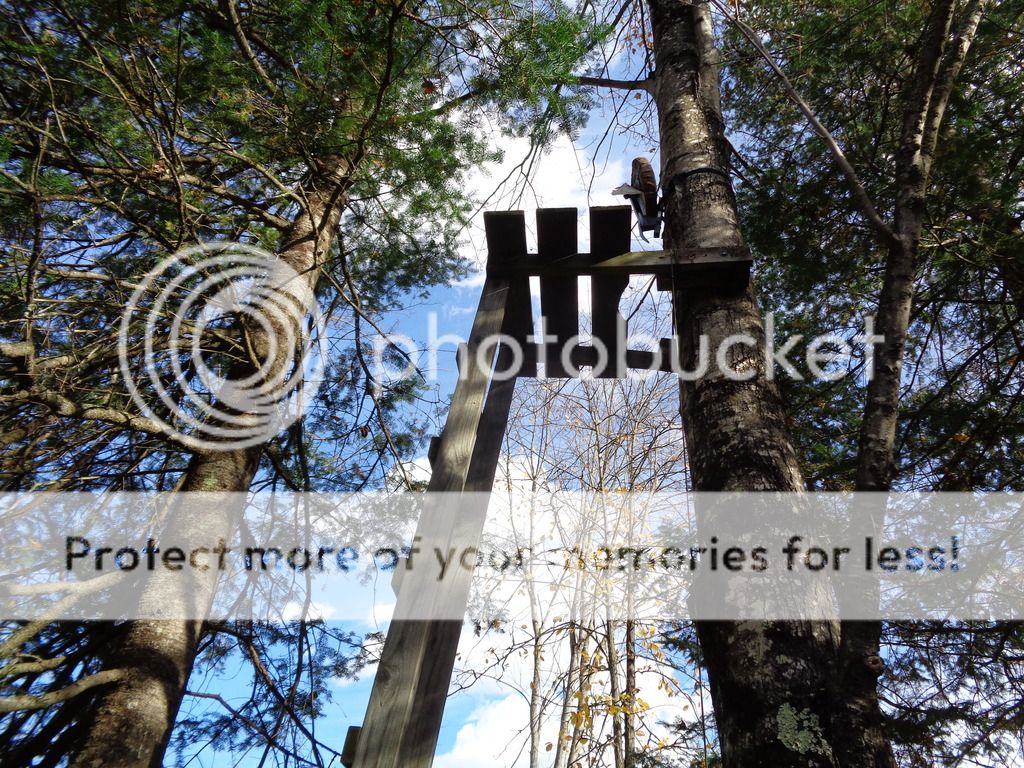 Homemade Ladder Stand | Michigan Sportsman Forum